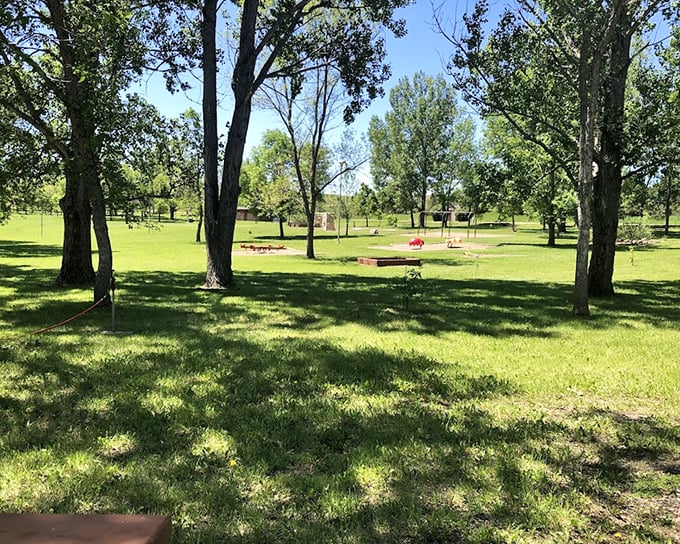 A peaceful moment that makes you wonder why you ever complained about not having cell service.