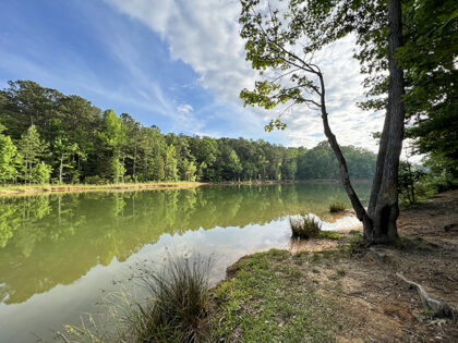 10 State Parks In South Carolina So Stunning, You'll Think You're In A ...