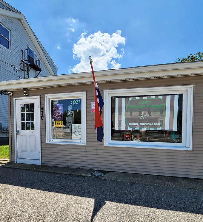 Candy's Curiosities keeps it simple outside&mdash;saving all the weird and wonderful for what's behind that door.