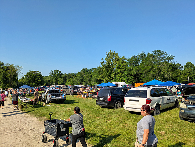 Treasure hunting paradise! Shoppers with wagons navigate the grassy paths between colorful tents and tables at Croy Creek, where one person's castoffs become another's treasures.