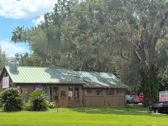 Deep South's cabin-in-the-woods vibe promises authentic Florida BBQ. Where Spanish moss meets smoke rings in perfect harmony.