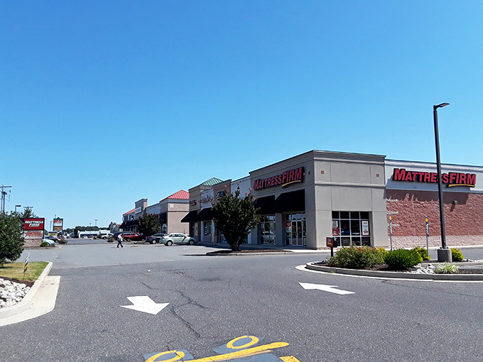 Modern convenience meets small-town charm in Delmar's shopping centers, where you can grab essentials without the big-city hustle.