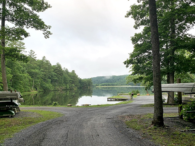 Serene lakeside views at Douthat State Park, where even the fish stop to admire the scenery.