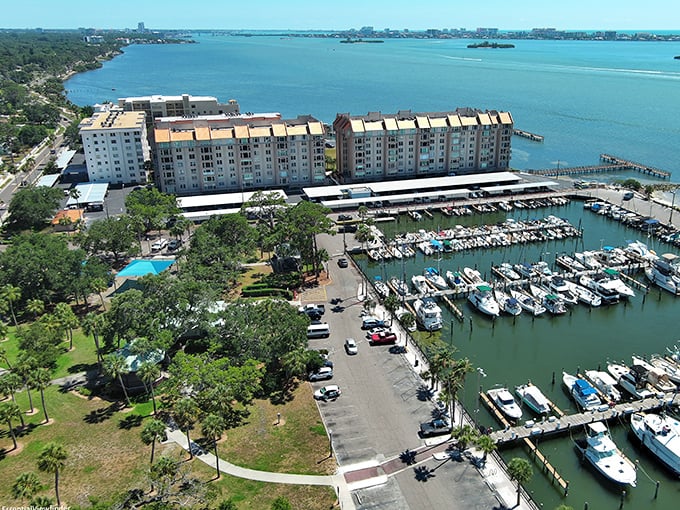 Dunedin's marina invites you to set sail into the sunset. Those boats aren't just for show—they're waiting for adventure!