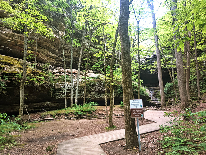 Ferne Clyffe's hidden pathways lead to moss-covered rock formations that feel like stepping into a fairy tale.