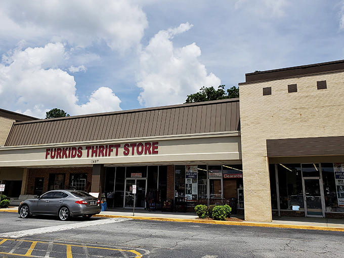 Furkids Thrift Store combines two noble pursuits&mdash;finding bargains and saving animals. Shopping with a purpose!