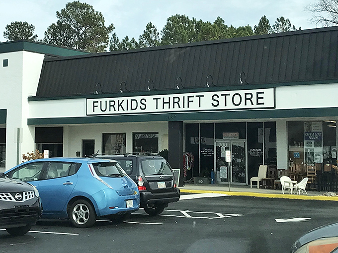 Shop here and help rescue homeless pets&mdash;every vintage sweater purchased means kibble for furry friends awaiting adoption.