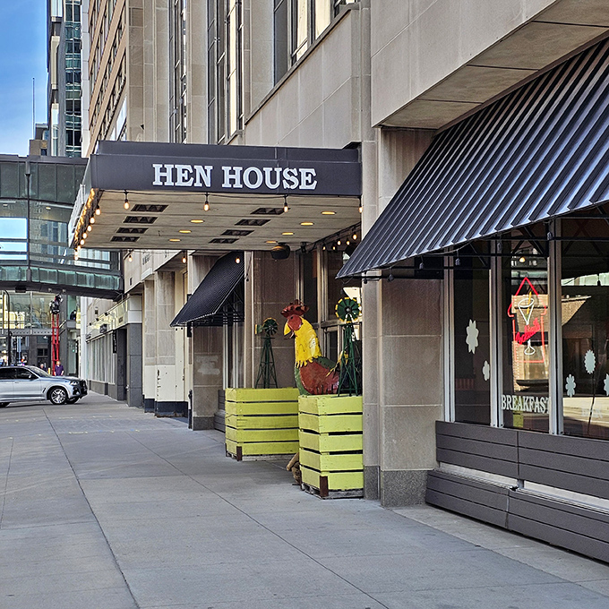 Downtown Minneapolis meets farmhouse charm, complete with a rooster greeter who's never late for breakfast.