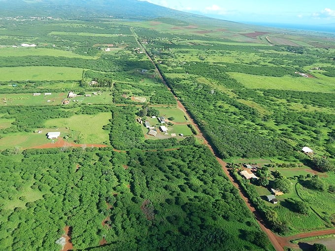 Verdant farmland stretches toward the horizon, crisscrossed by roads that seem to lead everywhere and nowhere at once. Hawaii's breadbasket bathed in sunshine.