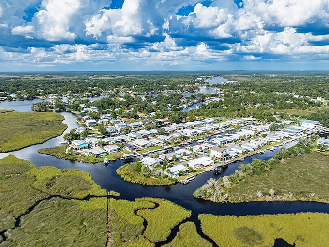 Homosassa's waterfront homes enjoy front-row seats to Florida's natural aquarium. Where your morning coffee comes with a side of dolphin sightings.