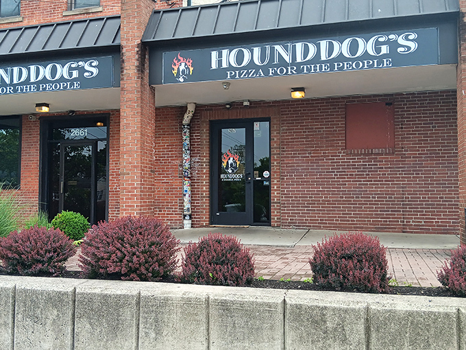 Hounddog's historic brick building houses pizza rebels with a cause: making your taste buds dance with joy!
