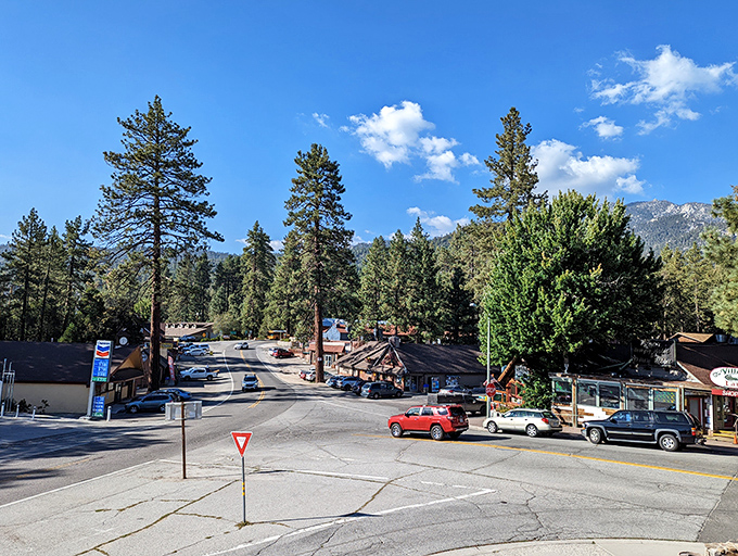 Idyllwild's main drag feels like a movie set where pine trees are the stars and mountain air is complimentary with every visit.
