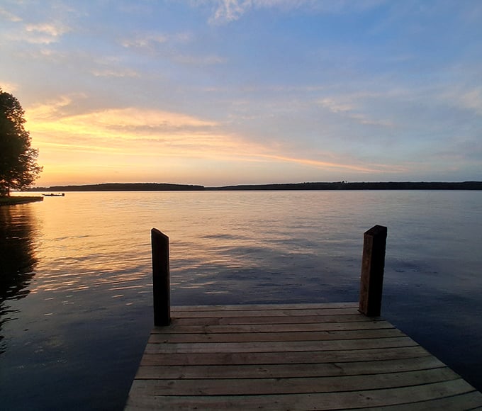 Chicot's deer population knows this park is their safe haven too, casually strolling through like they own the place &ndash; because honestly, they do.