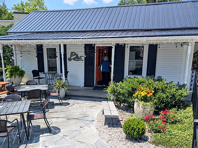 Lola's patio invites you to linger over pizza perfection. Those stone tables have hosted countless memorable meals.