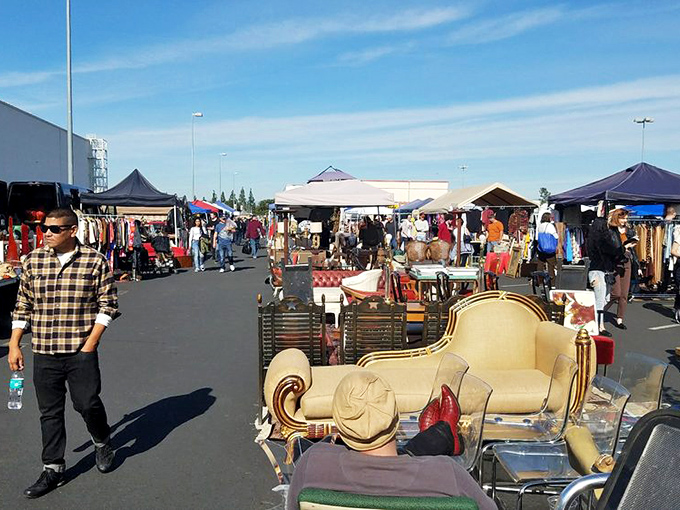 That vintage sofa could tell stories from another era &ndash; if only it could talk between bargain hunting sessions.