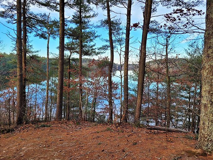 A quiet sentinel on the lake's edge. Tall pines frame a clear, cold body of water, inviting you to leave the noise behind and step into the stillness of the woods.
