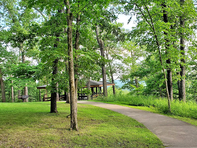Meramec's emerald waters wind through the park like a liquid jewel. The perfect place to float away your worries.