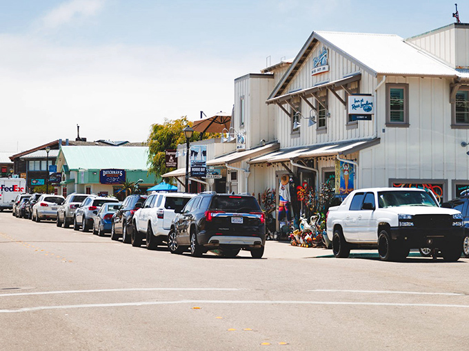 Coastal charm meets small-town simplicity in Morro Bay's shopping district, where local businesses thrive just steps from the Pacific.