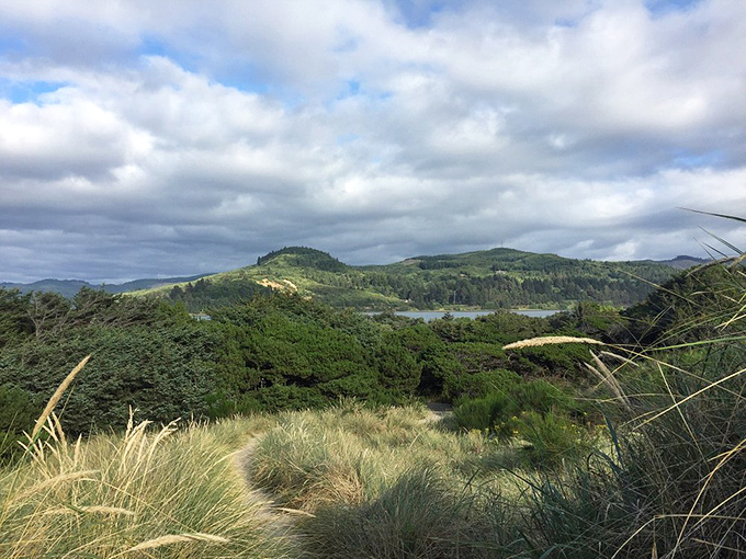 Nehalem Bay's wildlife doesn't mind sharing. This elk pauses mid-snack to remind us whose home we're visiting.