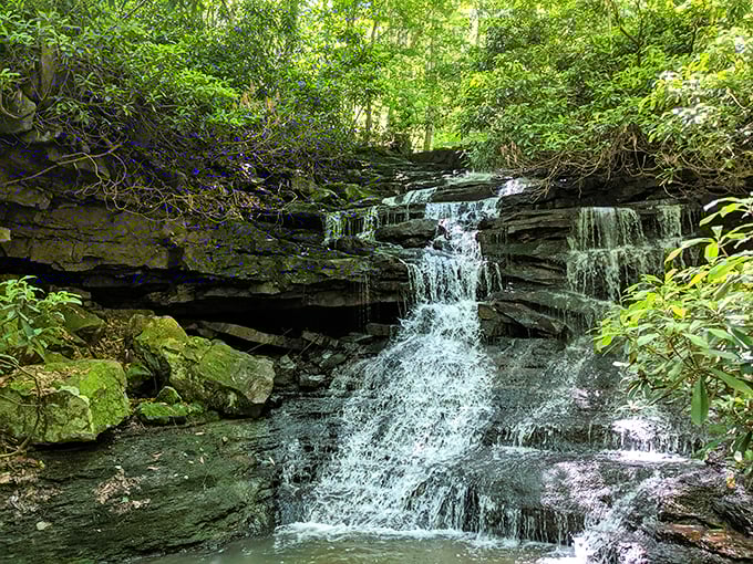 Ohiopyle's rushing waters carve their own path through the landscape. A reminder that persistence creates beauty.