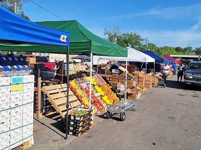 Plant City's market keeps it real with no-frills displays where the star of the show is always the farm-fresh produce.