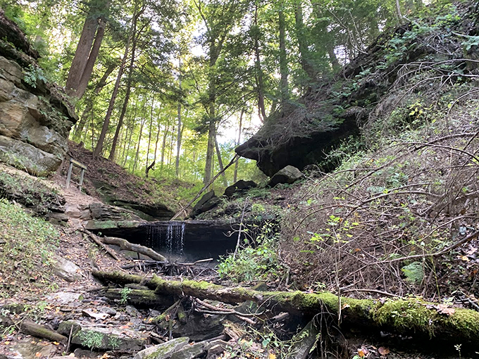 Shades State Park's hidden waterfall creates a secret oasis among ancient hemlocks. Indiana's version of Shangri-La!