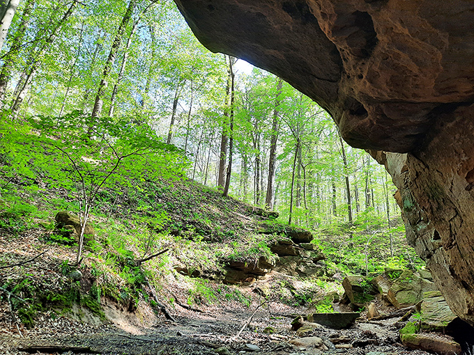 These sandstone cliffs prove that Indiana can be just as dramatic as any mountain state.
