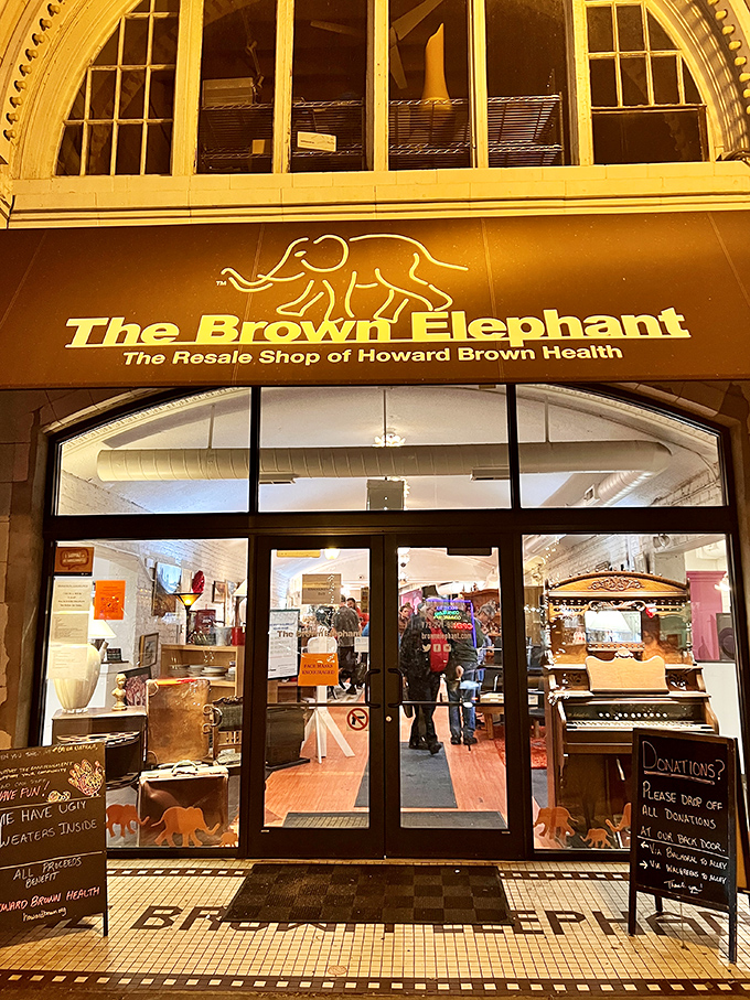 The Brown Elephant's golden storefront glows with invitation. Not your grandmother's thrift store, unless she was incredibly stylish!