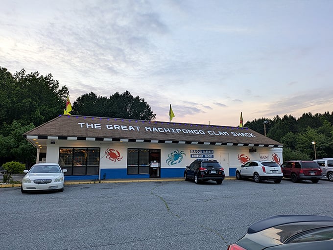 The Great Machipongo's roadside charm hides serious clam expertise behind those colorful crab-covered walls.