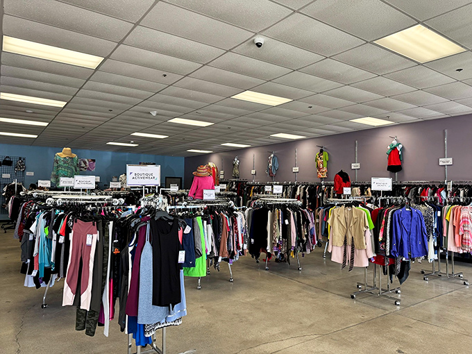The organized interior proves that thrift shopping can be both purposeful and pleasantly easy to navigate.