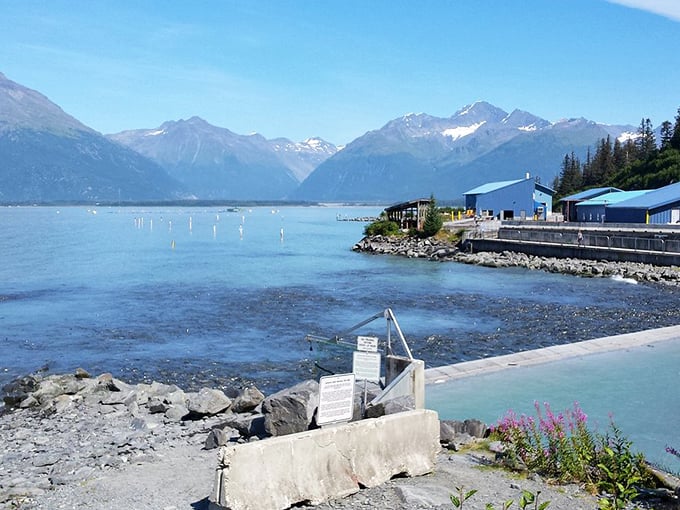 Valdez waterfront living: where industrial charm meets mountain majesty, proving retirement in Alaska delivers million-dollar views on a sensible budget.