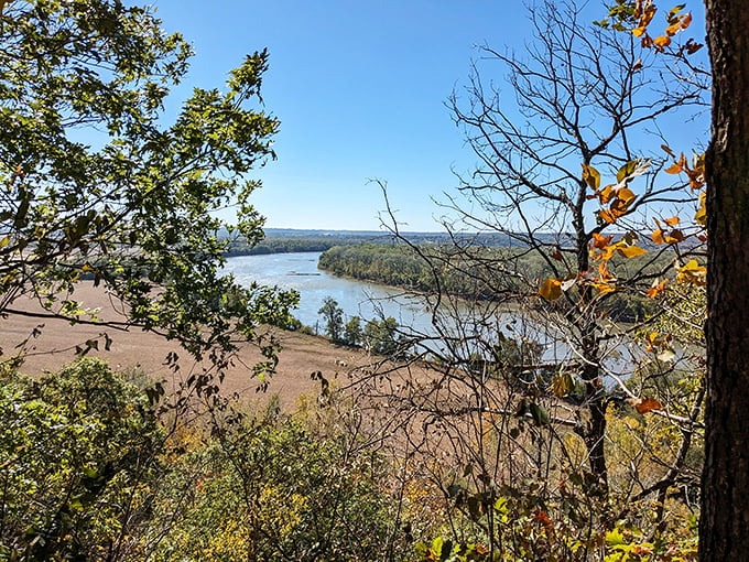 Weston Bend's overlook delivers Missouri River views that Lewis and Clark would recognize. The mighty river still carves its ancient path.