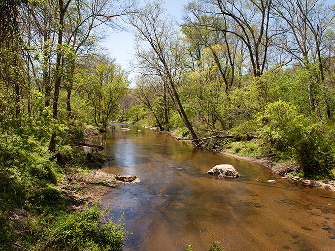 White Clay Creek's gentle waters have been sculpting these banks for centuries&mdash;nature's patient artist at work.