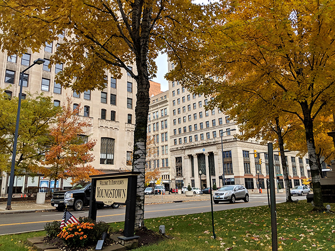 Youngstown's historic buildings frame streets where your retirement dollars perform better than your 401(k) did in the good years.