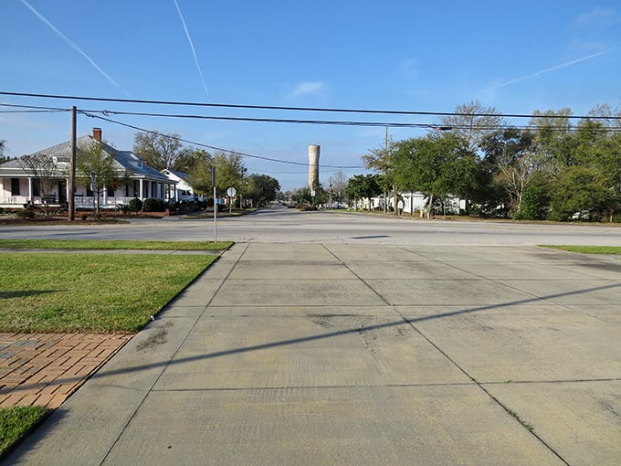 Palm trees and historic houses blend Southern charm with practical living in this refreshingly authentic small town setting.