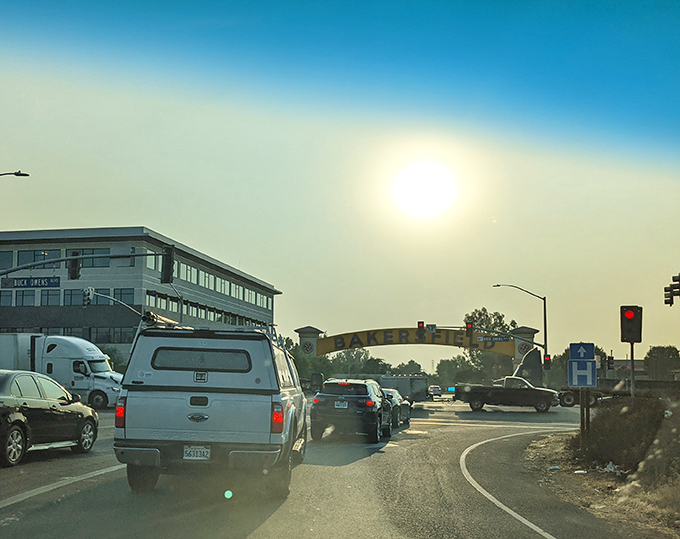 The road landscape surrounds you with productive beauty, reminding everyone daily why California feeds the nation from these fertile valleys.