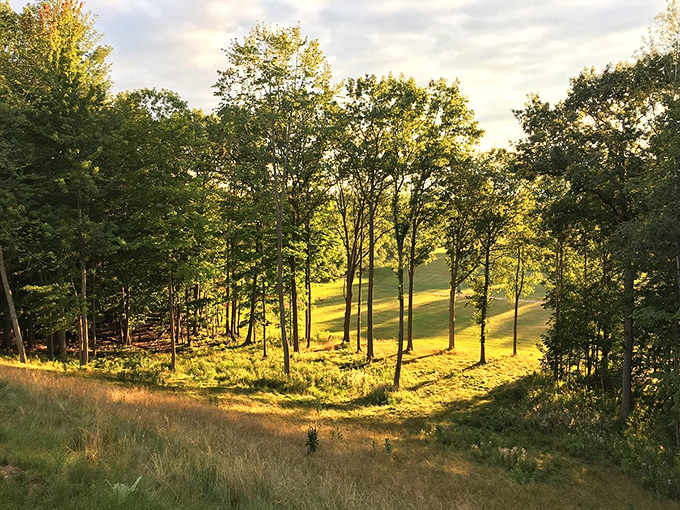 Golden hour illuminates the rolling hills around Big Rapids, where both the scenery and restaurant prices create picture-perfect moments.