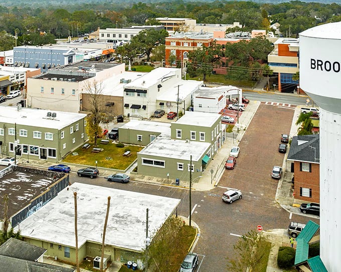 Historic downtown Brooksville offers small-town shopping without big-city markups. Your retirement budget will breathe easier here!
