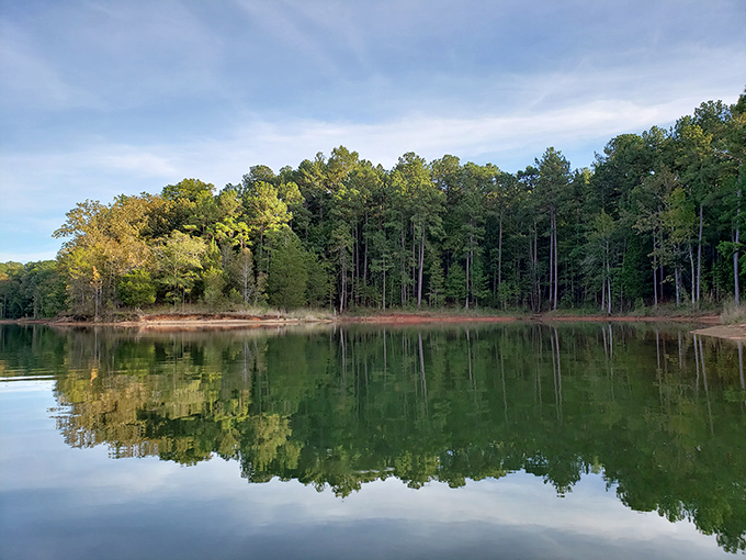 Perfect lake views stretch endlessly, making every camping spot feel like waterfront property without the mortgage.