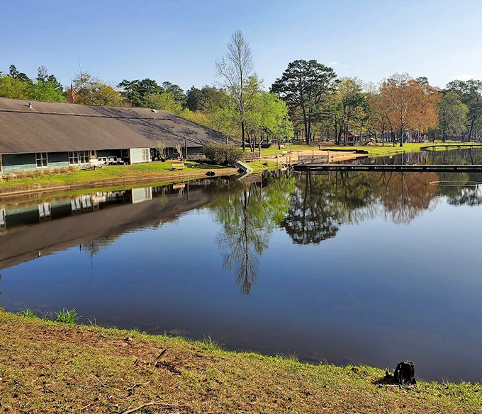 Clarkco State Park: Peaceful waters surrounded by whispering pines&mdash;the kind of place that makes you forget what day of the week it is.
