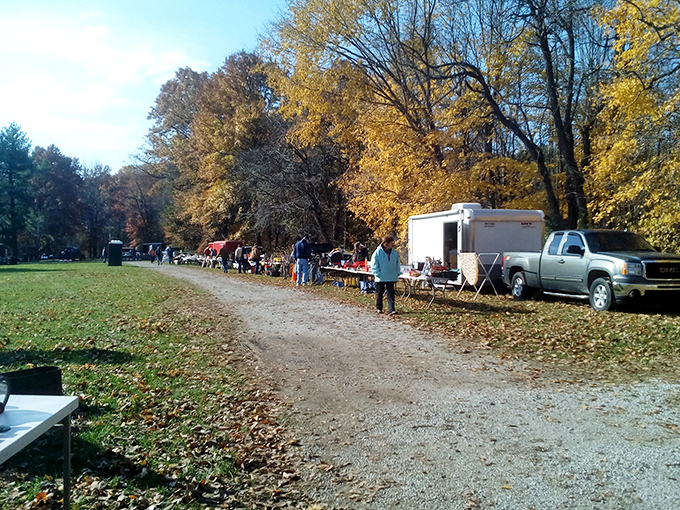 Fall's golden canvas creates the perfect backdrop for treasure hunting at Croy Creek. Those autumn leaves aren't the only colorful finds waiting to be discovered!