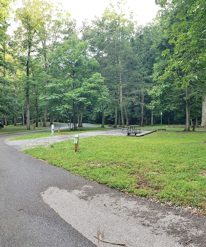 The kind of campground that makes you want to write postcards home saying "Wish you were here... but glad I got here first!"