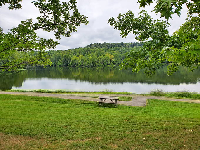 The emerald waters of Ferne Clyffe reflect the lush forest canopy, creating a double dose of tranquil beauty.
