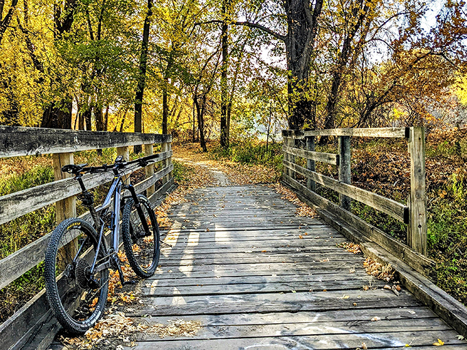 A wooden bridge invites exploration at Fort Snelling State Park, where city life feels a million miles away instead of just minutes.