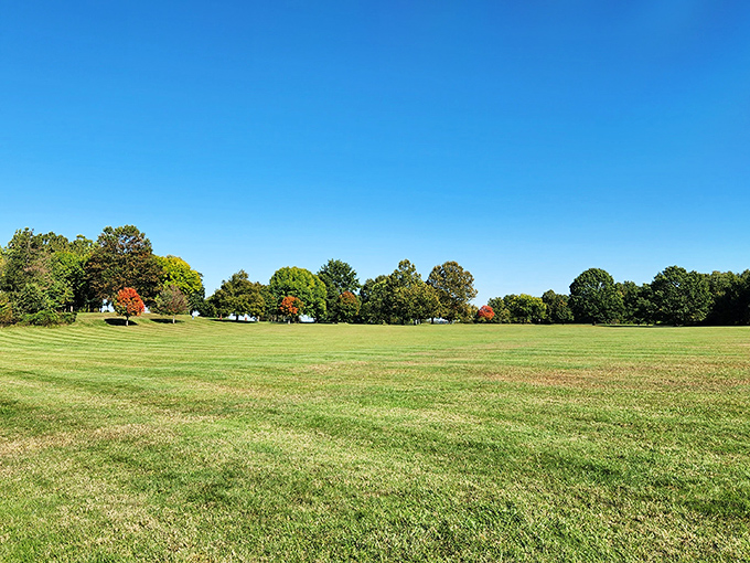Gunpowder Falls offers wide open spaces that say "bring your frisbee and stay awhile." Room to breathe, Maryland-style!
