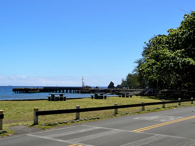 Picnic tables with million-dollar views! Hāna's oceanfront park proves the best things in life are free&mdash;except the gas to get here.