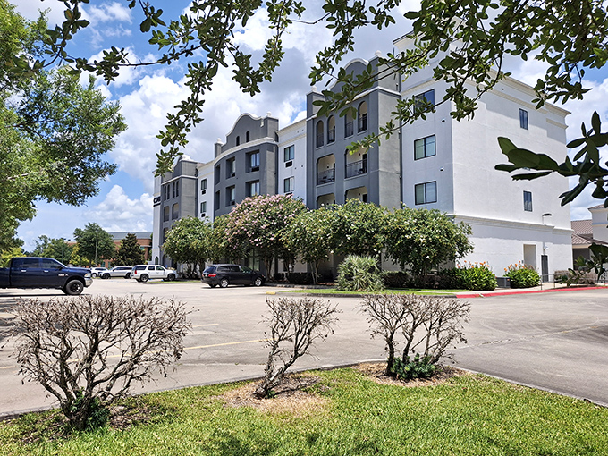 Bright summer sun highlights a modern apartment building painted in white and slate gray, standing behind a shady parking area and lush green lawn under a partially cloudy sky.