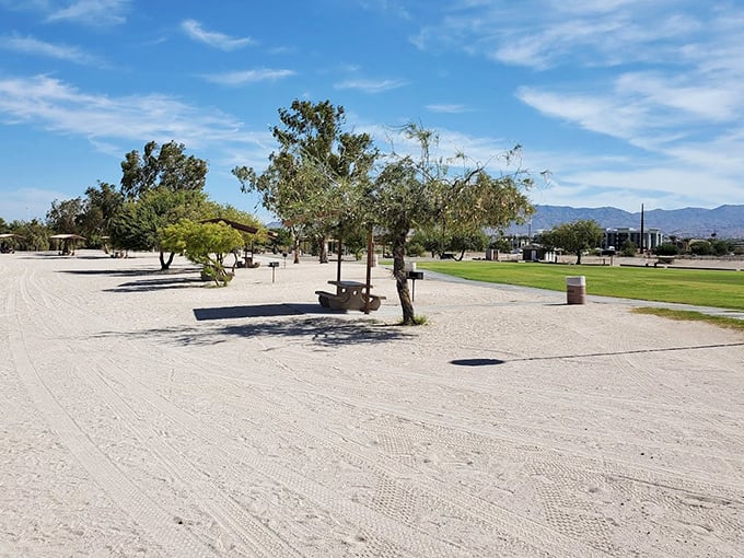 Desert meets water in perfect harmony at Lake Havasu State Park's pristine beaches.