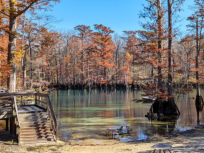 Three hundred feet deep and crystal clear to the bottom. Morrison Springs makes you realize why mermaids might exist after all.
