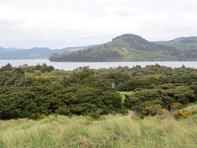 Wild neighbors at Nehalem Bay! The local elk population considers campers to be the exotic wildlife in this coastal paradise.
